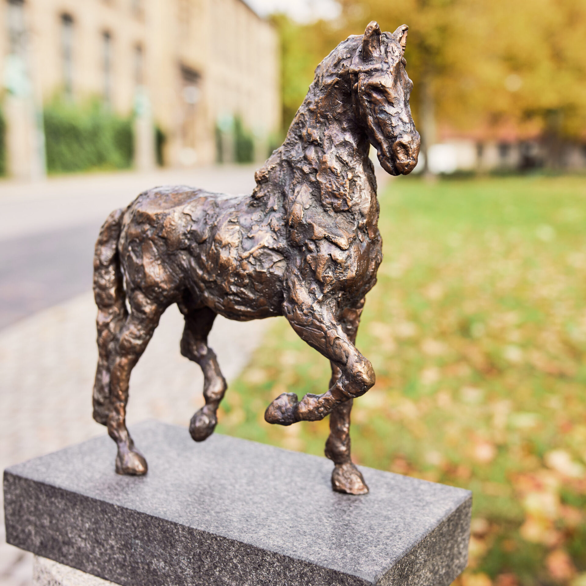 Salys hest - VeterinærMedicinsk Forening